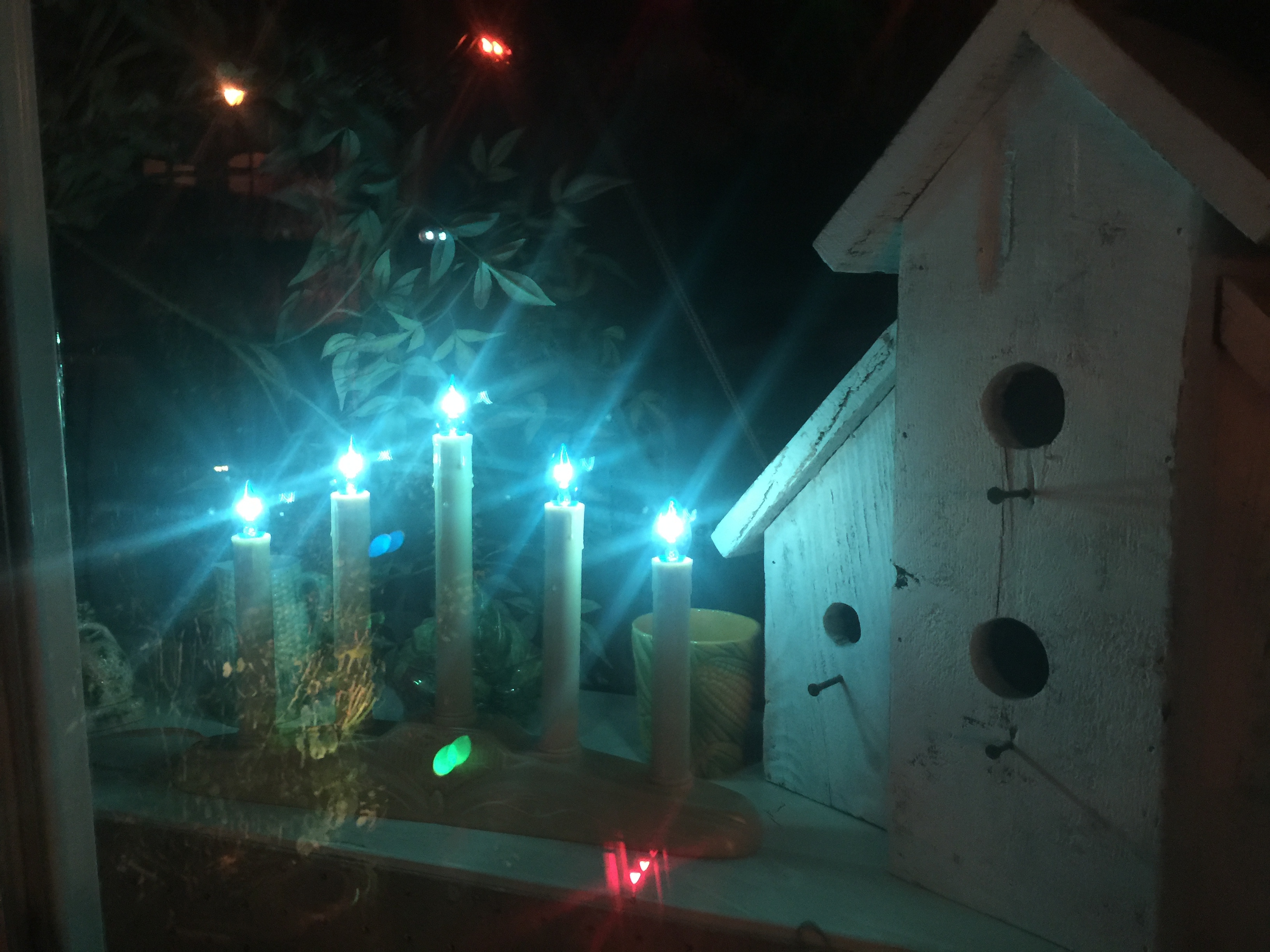 The Blue Candles | The Leon & Rachel Gathany Museum of Natural History